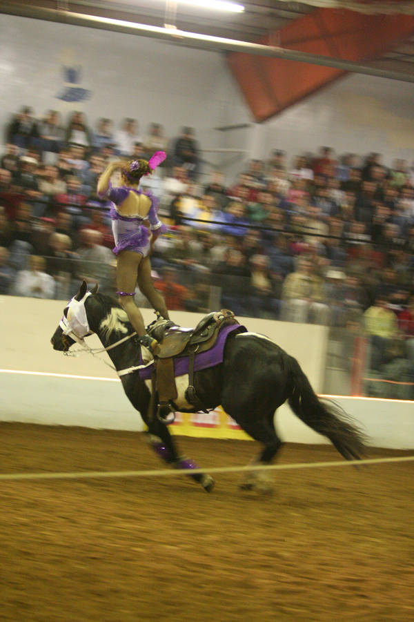 Trick Riding and Vaulting by RRS-RareRollingShows on DeviantArt