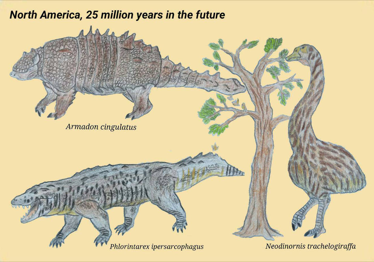 Armadon by SpecJects on DeviantArt