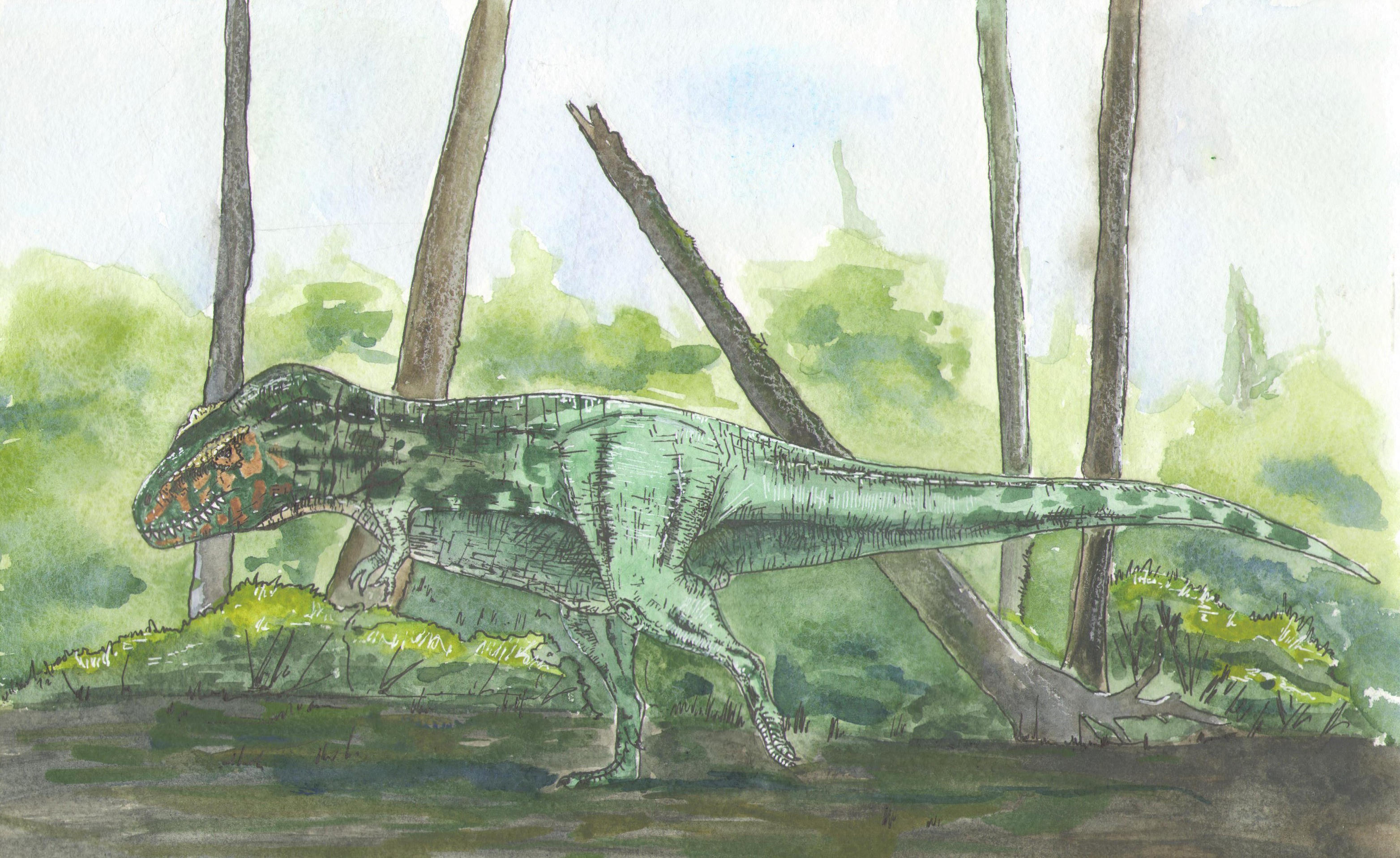 Tarbosaurus bataar by PlatinumYuty on DeviantArt