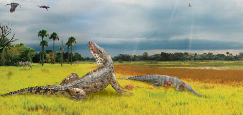 #barinasuchus | Explore barinasuchus on DeviantArt