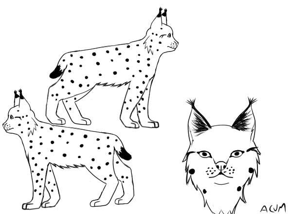 Lynx base by Littlegaypuff on DeviantArt