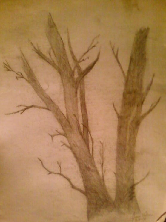I drew some trees!! :D by zombiesatemyshorts on DeviantArt