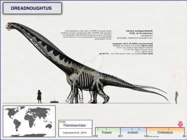 Dreadnoughtus by cisiopurple on DeviantArt