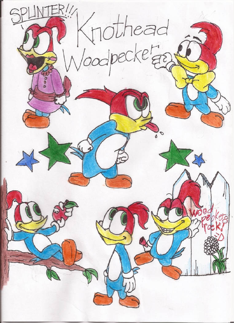 Knothead Woodpecker Sketchies #1 by NiftyNautilus on DeviantArt