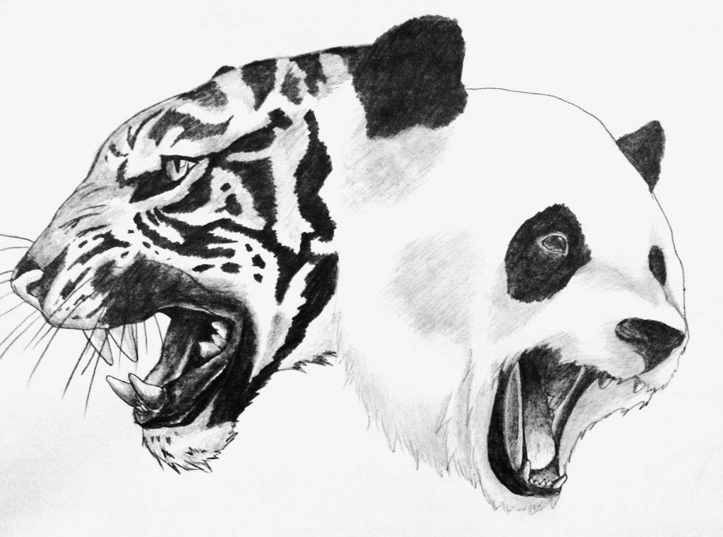 Tiger and Panda by Butterfly-Child-Risu on DeviantArt