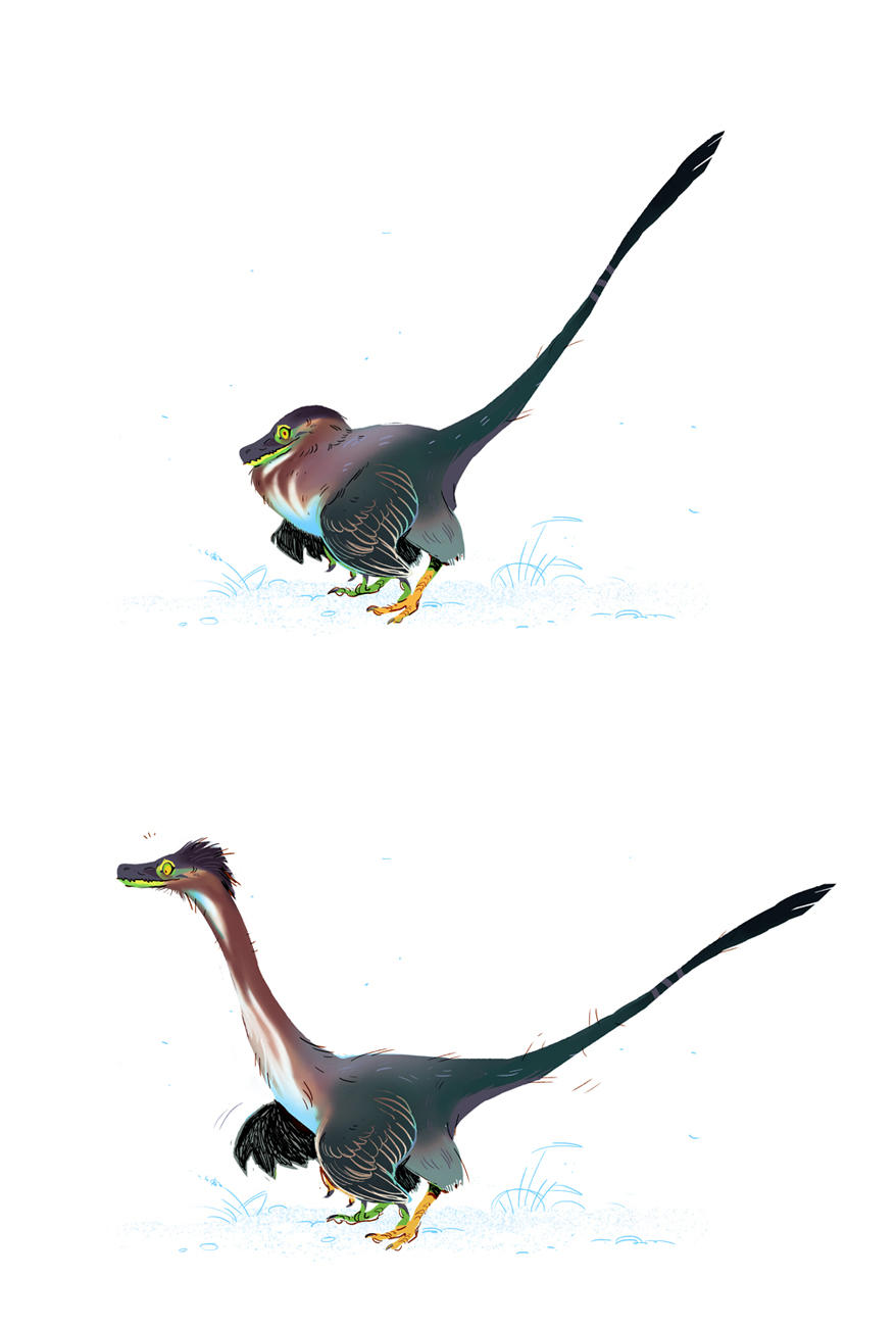 Paleo Art favourites by Skysealer on DeviantArt