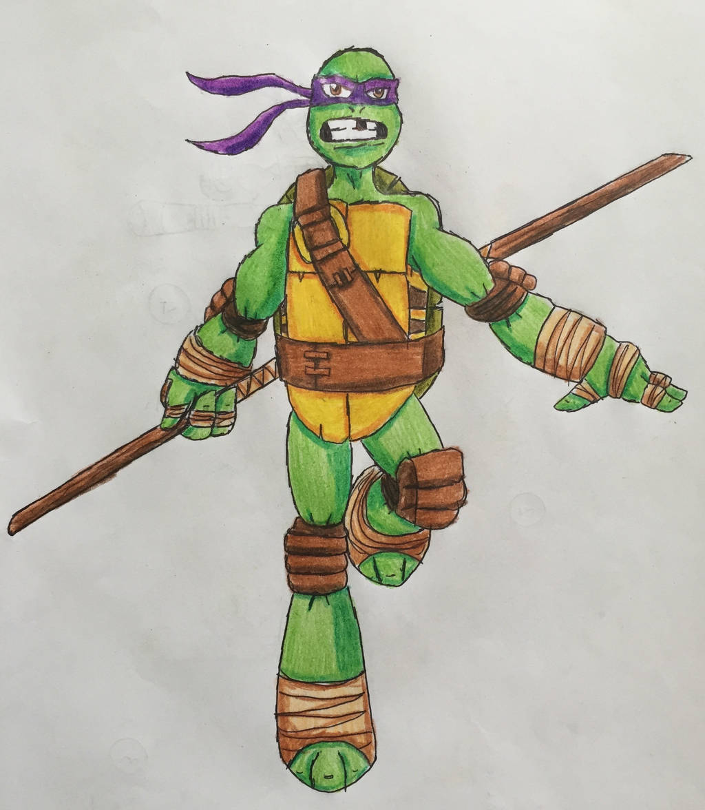 Equestria Ninjas: Donatello Hamato by BozzerKazooers on DeviantArt