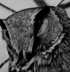 Celestial-Rainstorm | DeviantArt