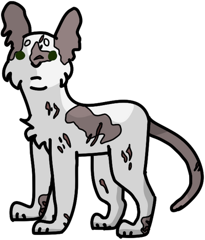 Gatherer Meela of the Foxgloves by Yellowblaze-Warriors on DeviantArt