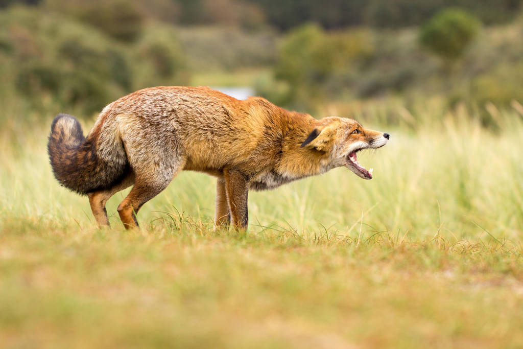 Exposing the Unexposed Vol. 19 by Yuukon on DeviantArt