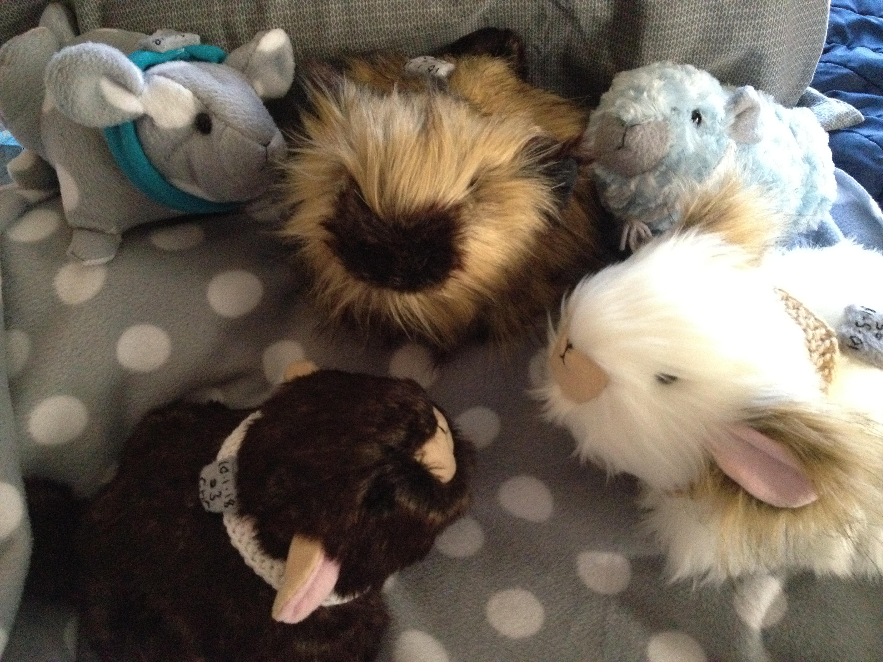 Mosaic Chinchilla plushie by Neon-Juma on DeviantArt