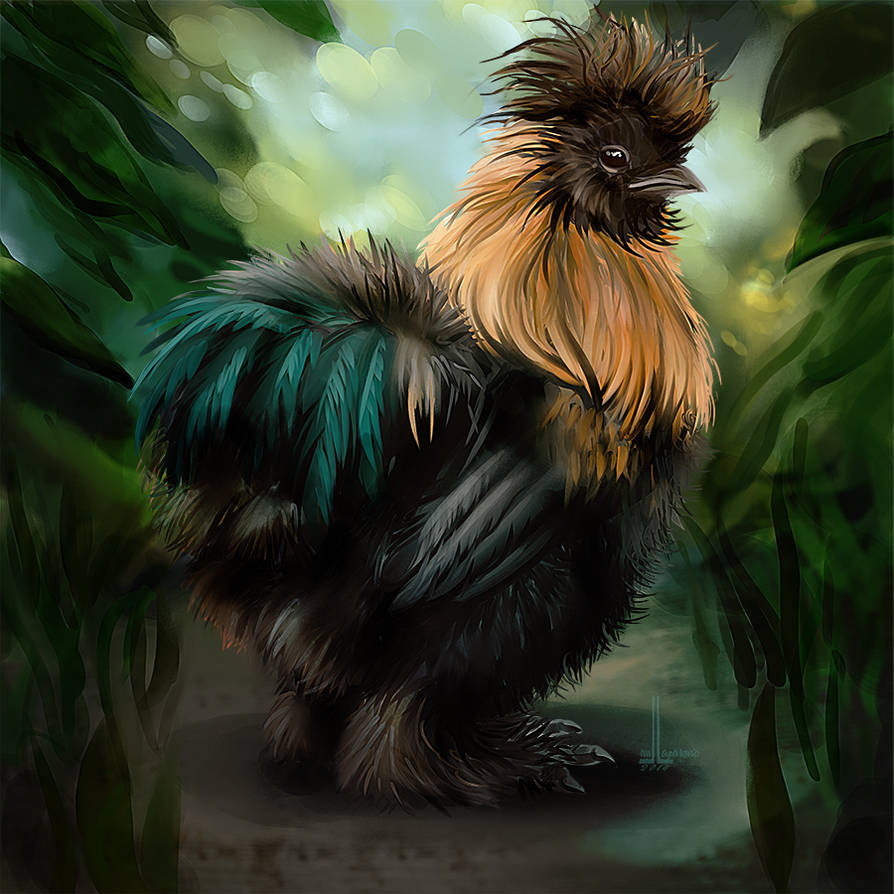 Chicken by DesigningLua on DeviantArt