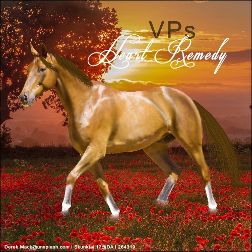 Chestnut Oldenburg stock 3 by Skunktail17 on DeviantArt