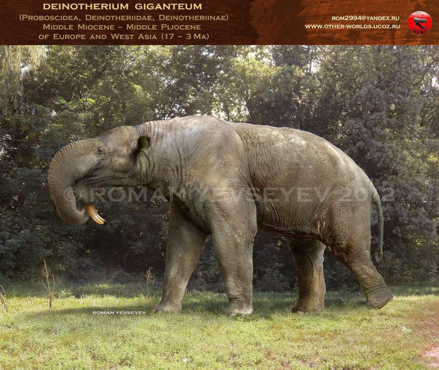 Deinotherium giganteum by RomanYevseyev on DeviantArt