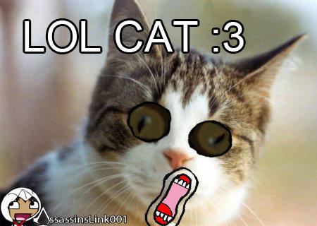 LOLCAT by assassinslink on DeviantArt