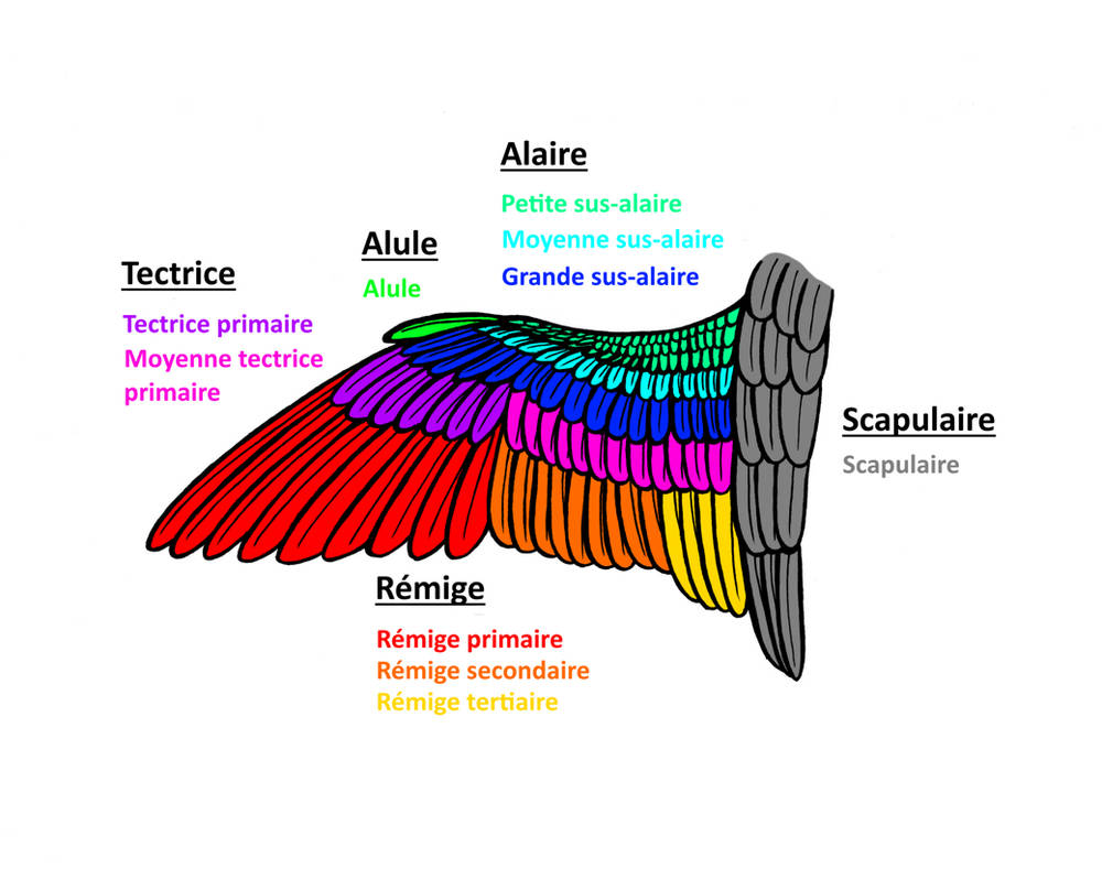 For Taikunfoo (Art Trade) by BrendanRizzo on DeviantArt