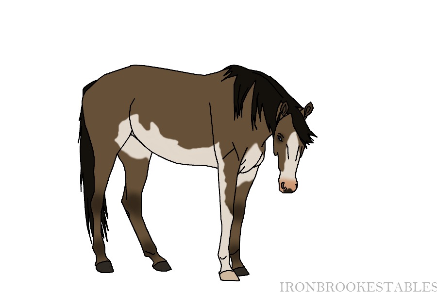 Racehorse Adopts 01 *CLOSED* by happy-horse-for-life on DeviantArt