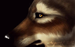 Wolf nuzzle by Edeneue on DeviantArt