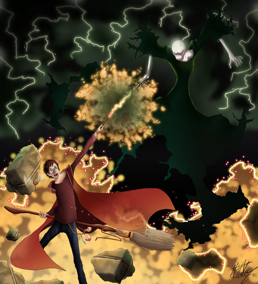 Harry Potter vs Voldemort by AO-RY on DeviantArt