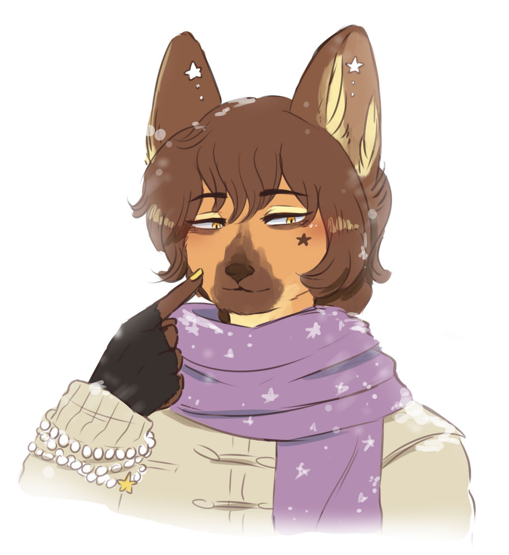 ffurry. furyr. furry. snow furry by tinyfrou on DeviantArt