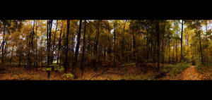 Black Metal Girl by systemic on DeviantArt