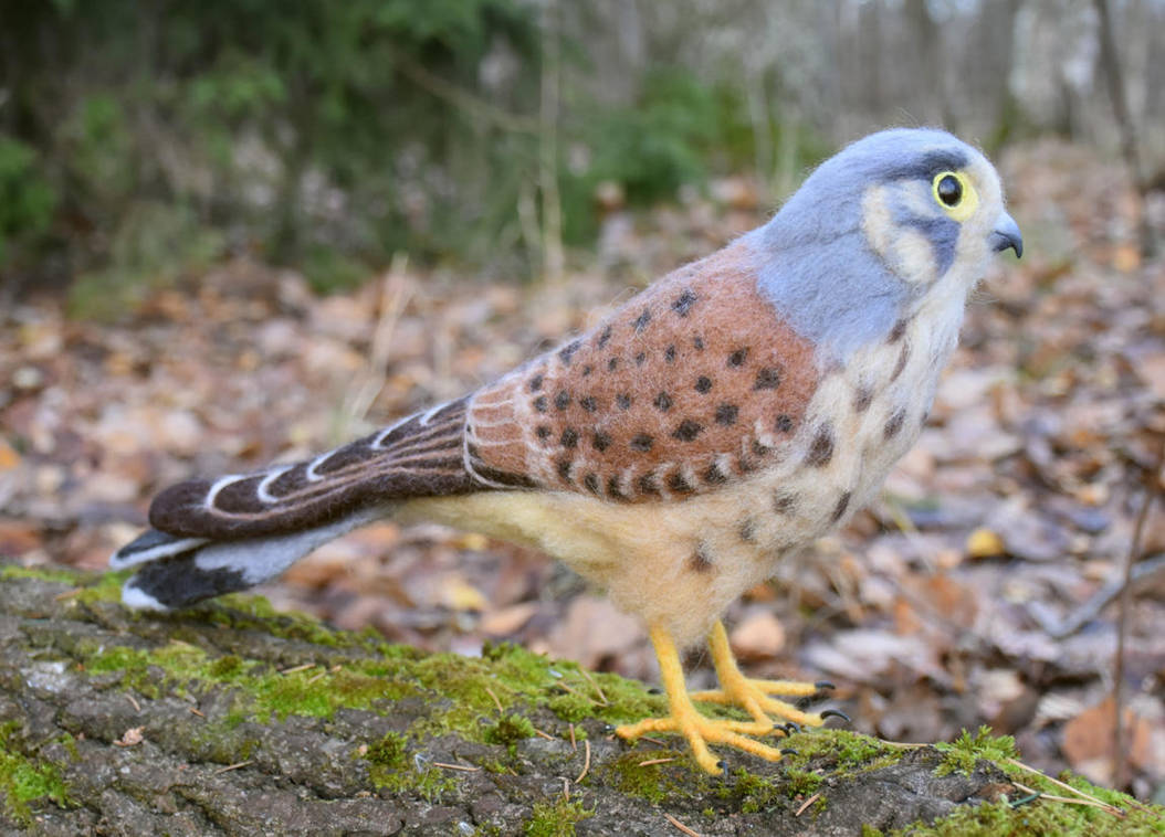 Needle felted Common kestrel by Hillamer on DeviantArt