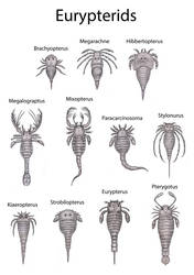 #eurypterid | Explore eurypterid on DeviantArt