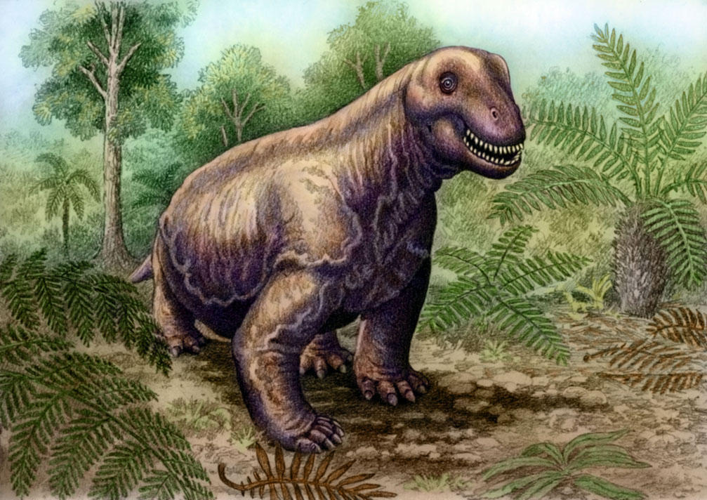 Moschops capensis by WillemSvdMerwe on DeviantArt