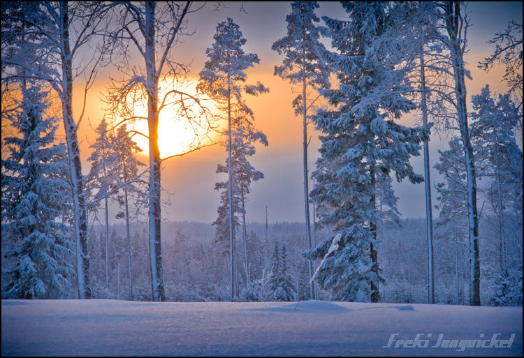 Fimbulvinter I by Wodenswolf on DeviantArt