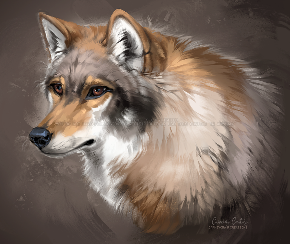 Issa steps by Chickenbusiness on DeviantArt