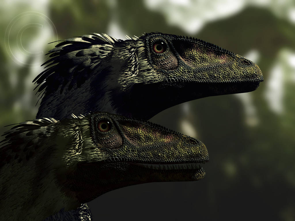 Deinonychus by PaleoGuy on DeviantArt