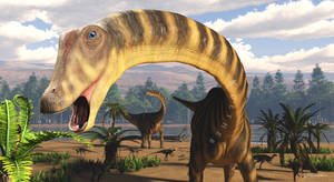 Walnutwilly | DeviantArt