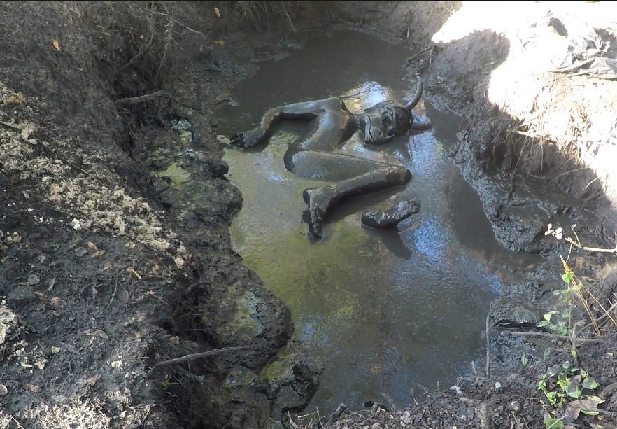 Mud Creature by hyperjet on DeviantArt