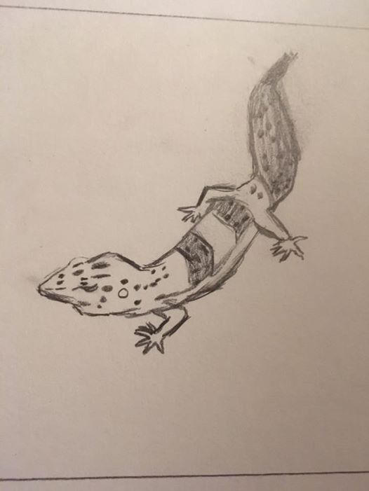 CaptainEdwardTeague's DeviantArt Gallery