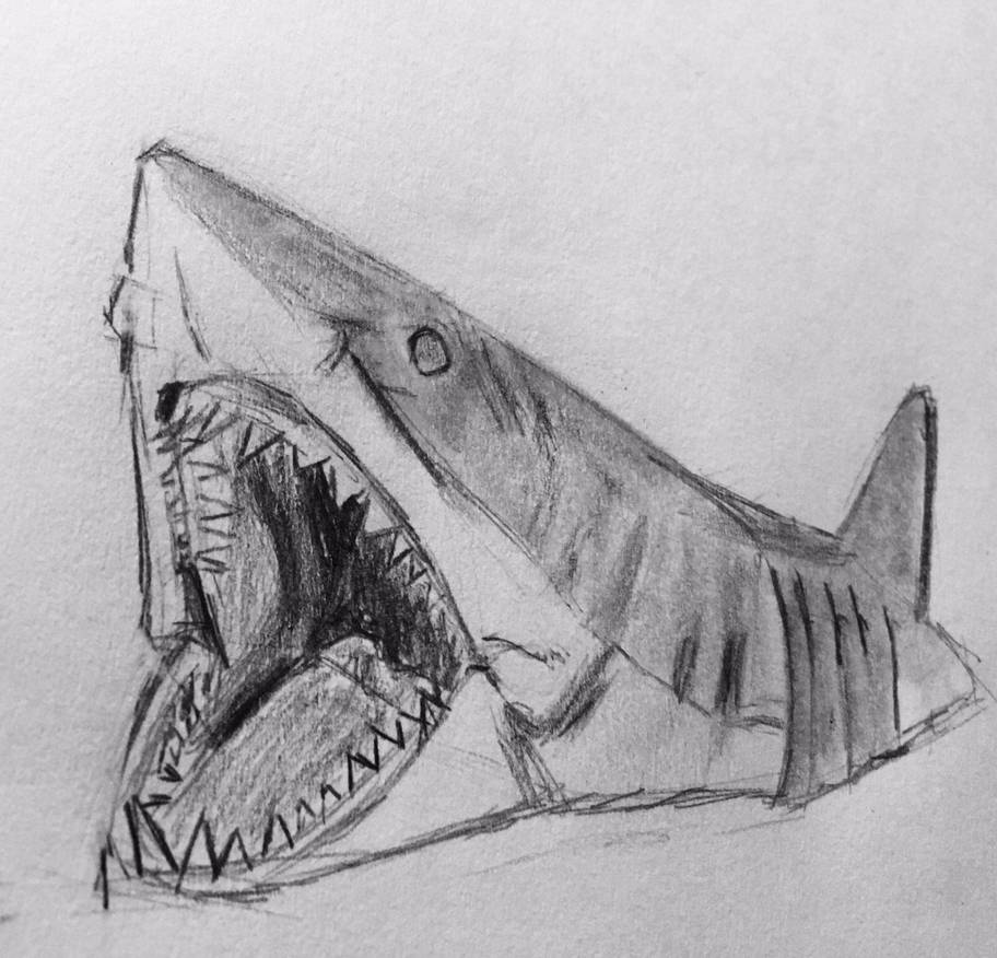 Bruce from JAWS 1975 by CaptainEdwardTeague on DeviantArt