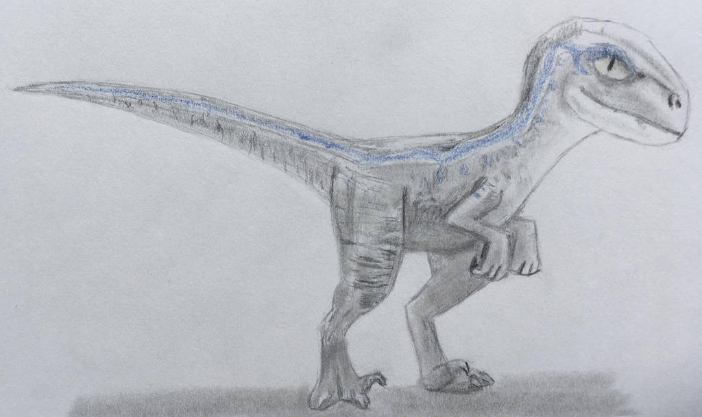 Baby Blue from Jurassic World Redrawn by CaptainEdwardTeague on DeviantArt