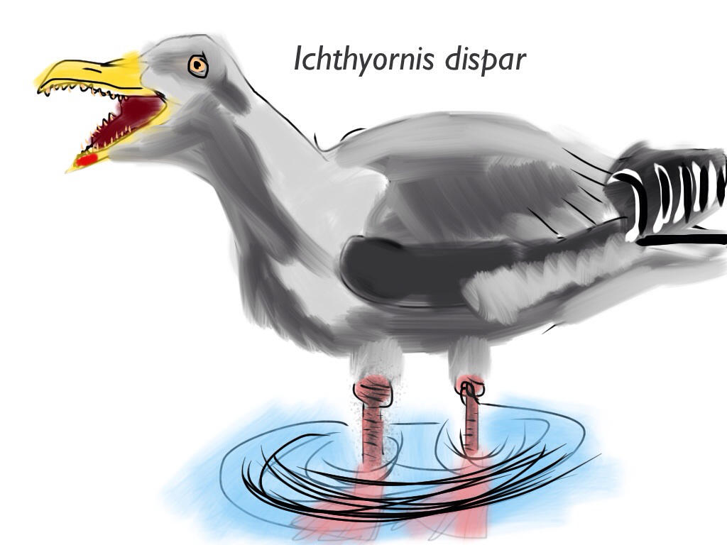 Ichthyornis dispar by Vespisaurus on DeviantArt