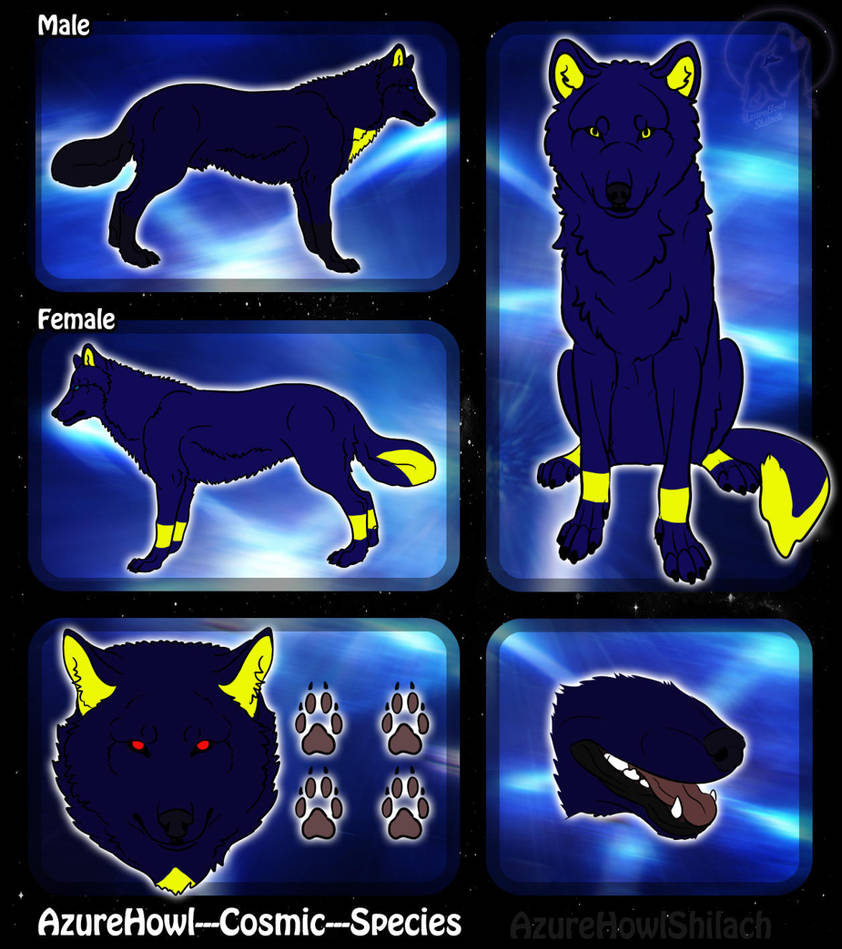 Cosmic wolf species - AzureHowl by AzureHowlShilach on DeviantArt