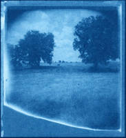 Cyanotype by DTMajesty on DeviantArt