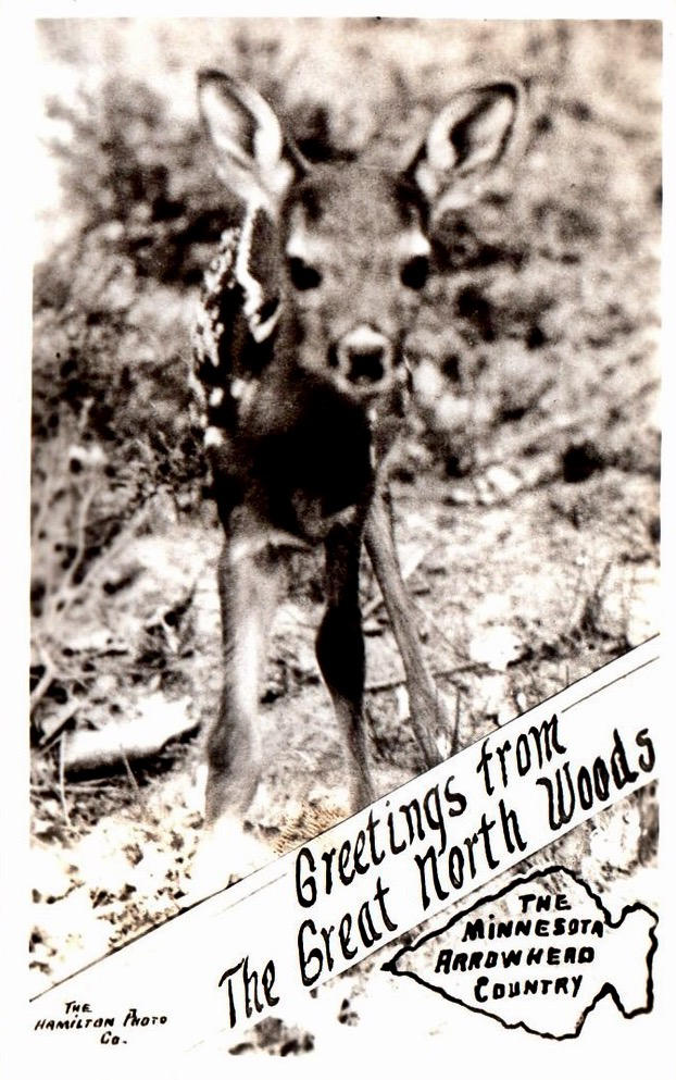Vintage Minnesota - Big Prairie Chicken, Rothsay by Yesterdays-Paper on ...