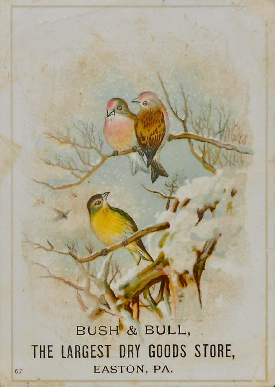 Robins' Roost by Yesterdays-Paper on DeviantArt