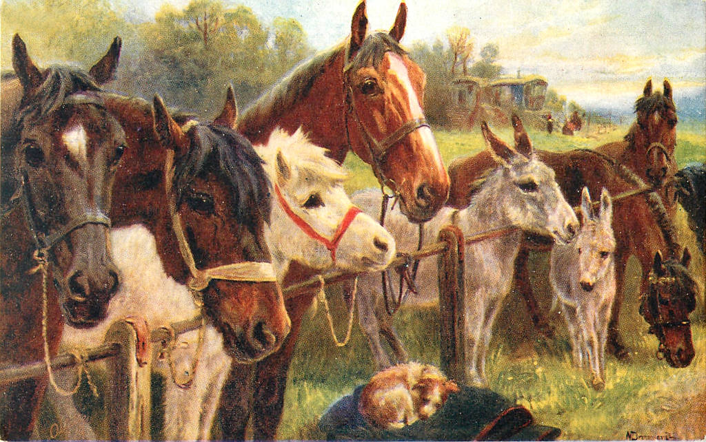 Shetland Ponies in Gallop by Yesterdays-Paper on DeviantArt