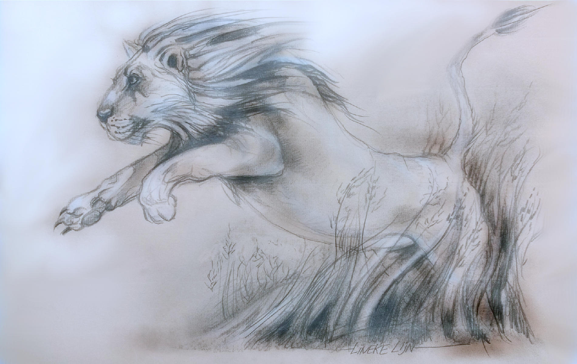 Jumping lion by Lineke-Lijn on DeviantArt