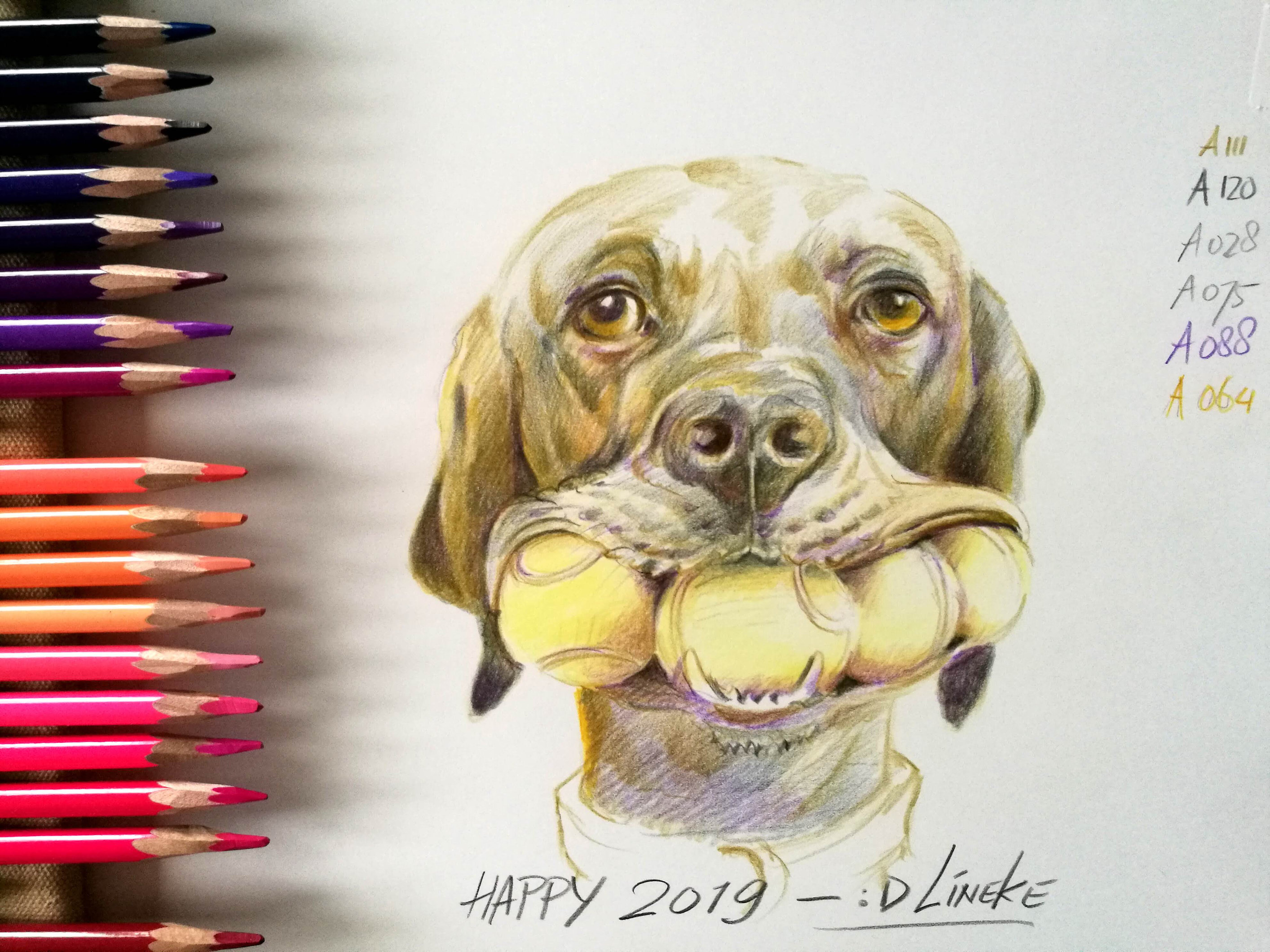 Dog with balls... by Lineke-Lijn on DeviantArt
