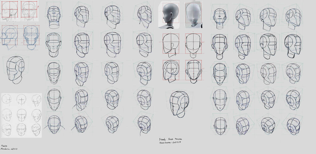 Head Angles Practice. by Naranb on DeviantArt