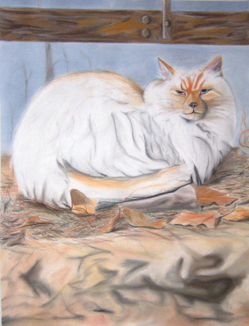 secoh2000's DeviantArt gallery