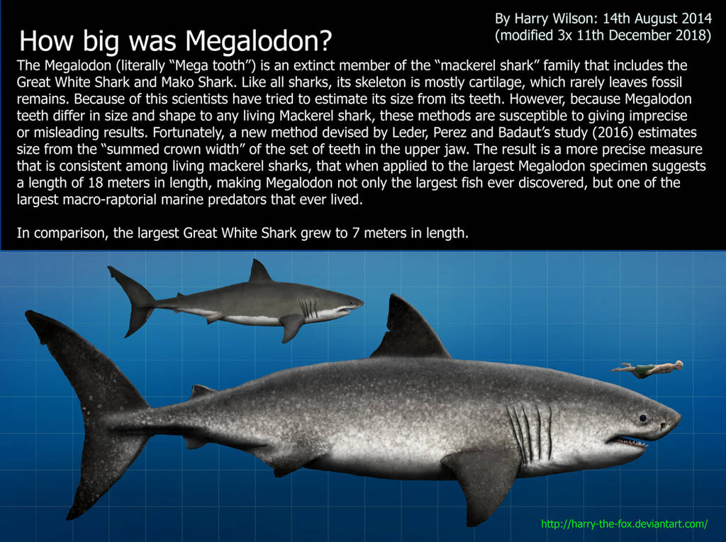 [Let's Read] D&D 3.0 Monster Manual II | Dungeons & Dragons / Fantasy ...