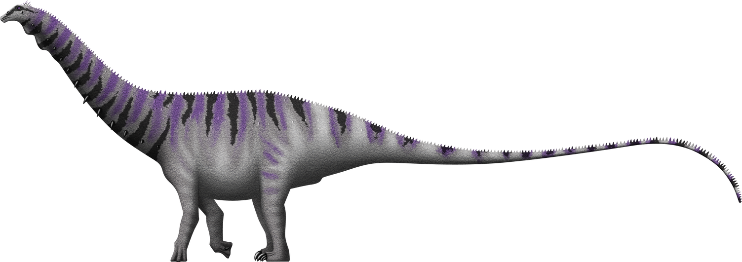 Brontosaurus excelsus by SpinoInWonderland on DeviantArt