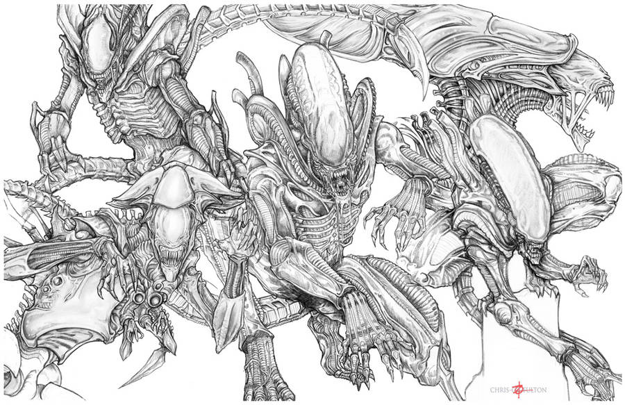 Predator Yautja Big Red By Chris Oz Fulton by ChrisOzFulton on DeviantArt