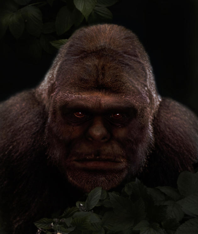 sasquatch by xilrion on DeviantArt